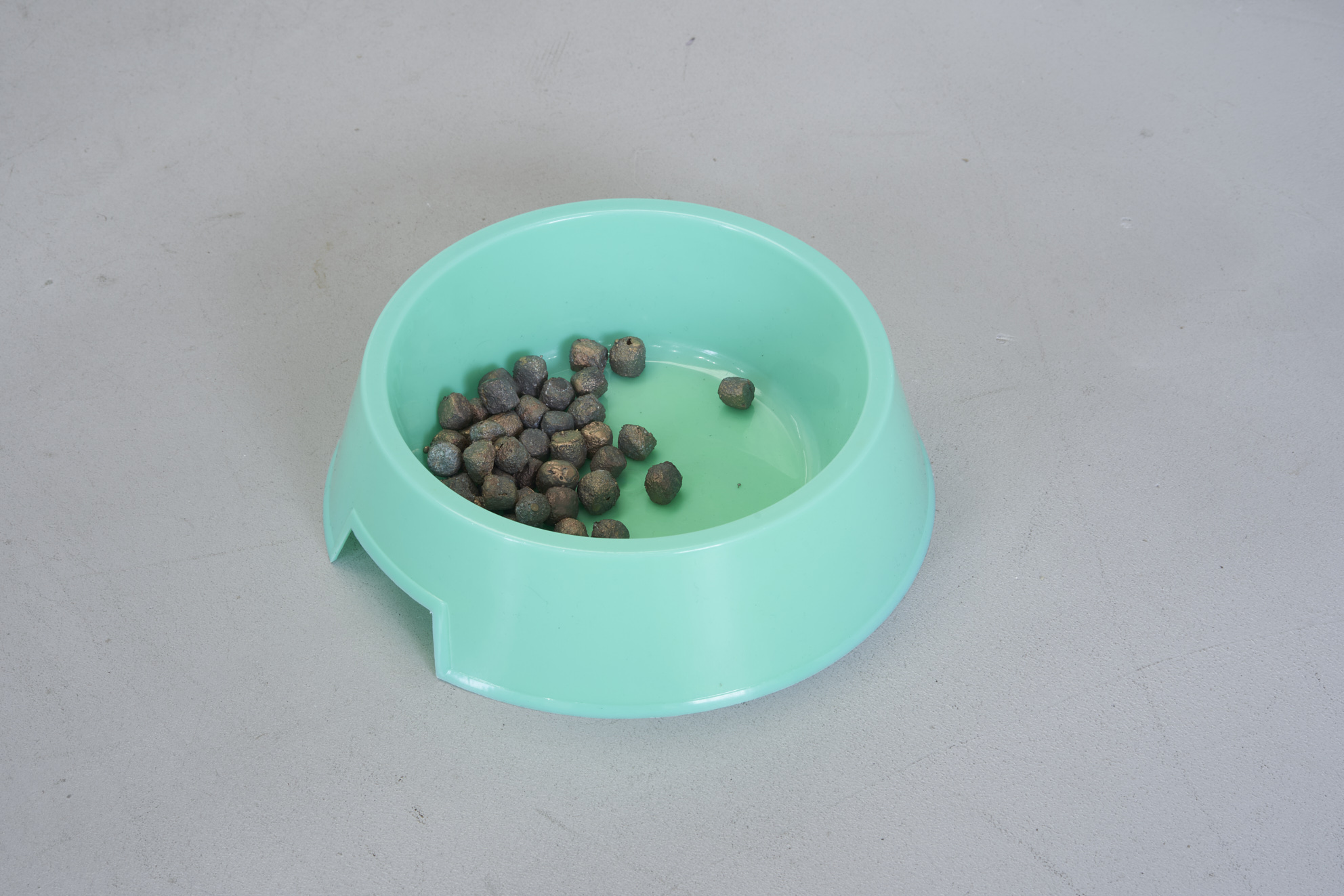 CADAN Showcase 02 – CADAN official website