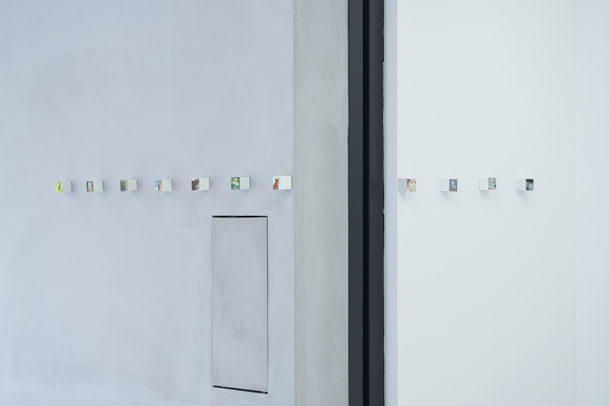 CADAN Showcase 03 – CADAN official website